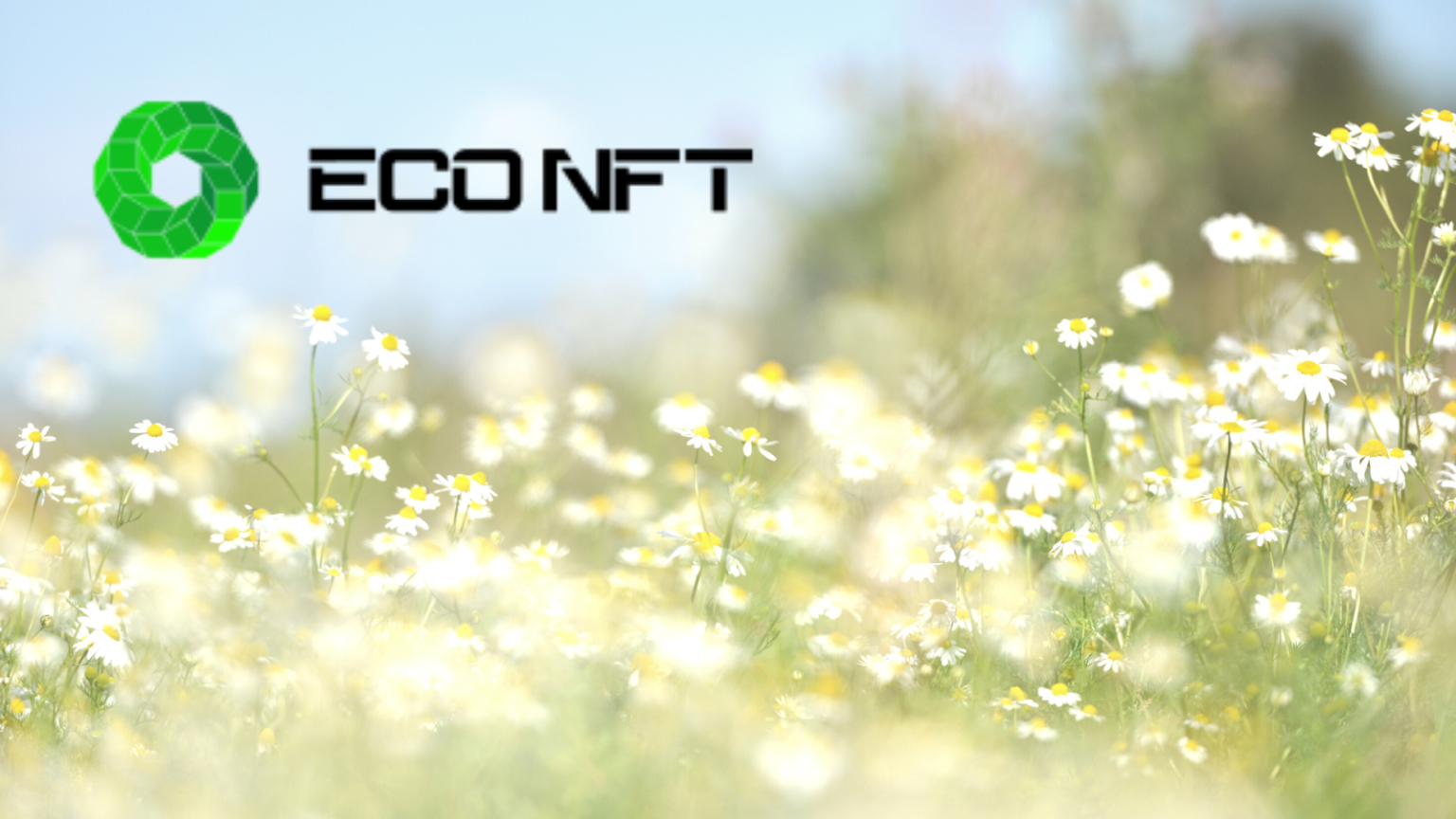 Going Green With NFTs: The Ultimate Guide To Environmentally Friendly NFTs